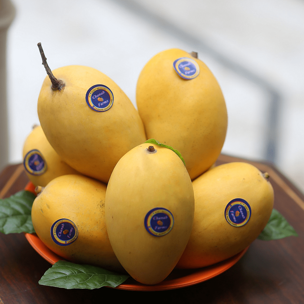 Buy Export Quality Chaunsa Mango - Chanab Farms Online