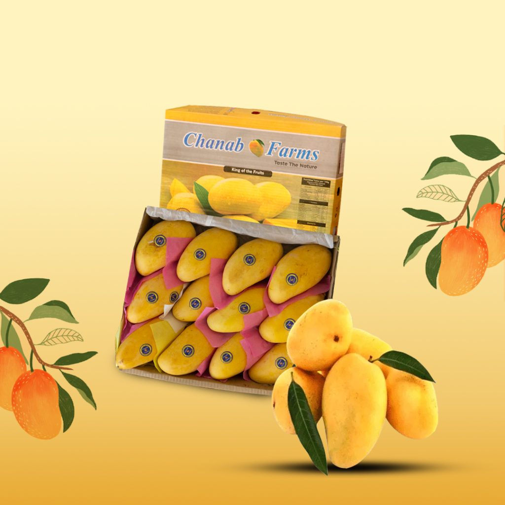 Multani Chanab Gold Mango-Export Quality-Available from 15th July ...